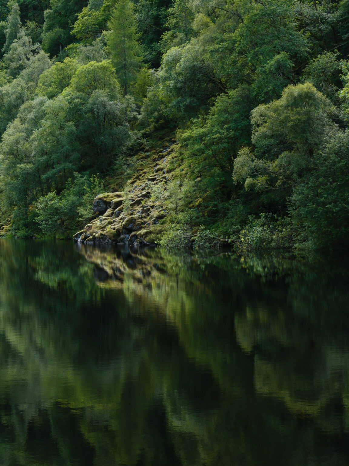 Portfolio - Kurt Bauer