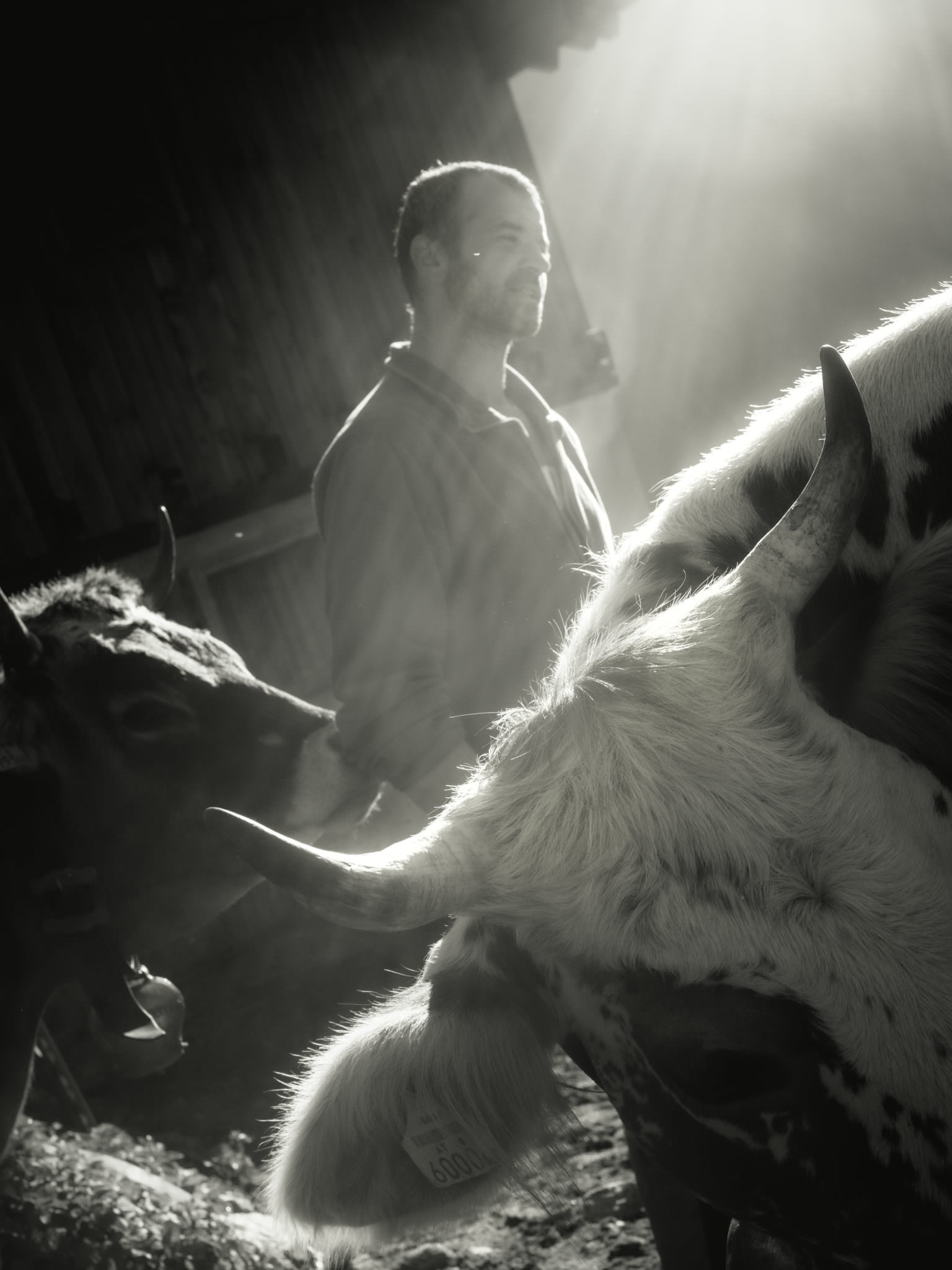 Index - Kurt Bauer